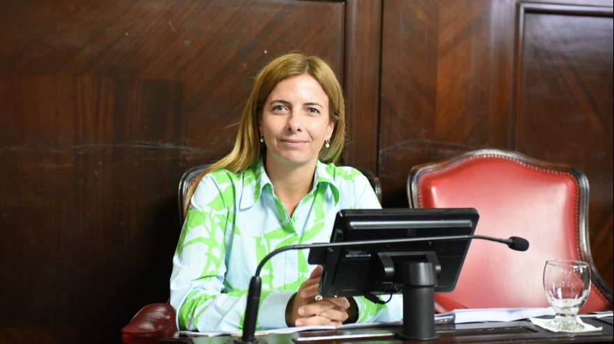 Una senadora reclama más recursos para la ciudad por su perfil ...